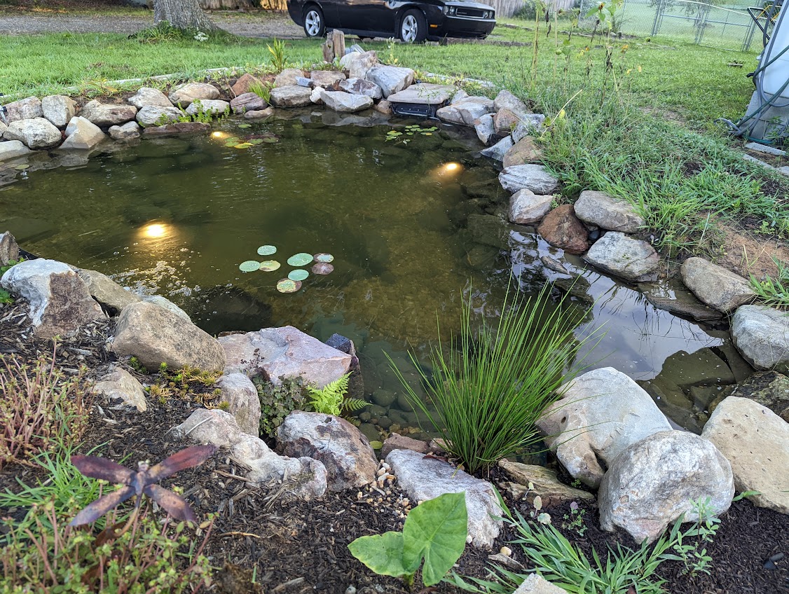 New Pond Photos – Shadowscope