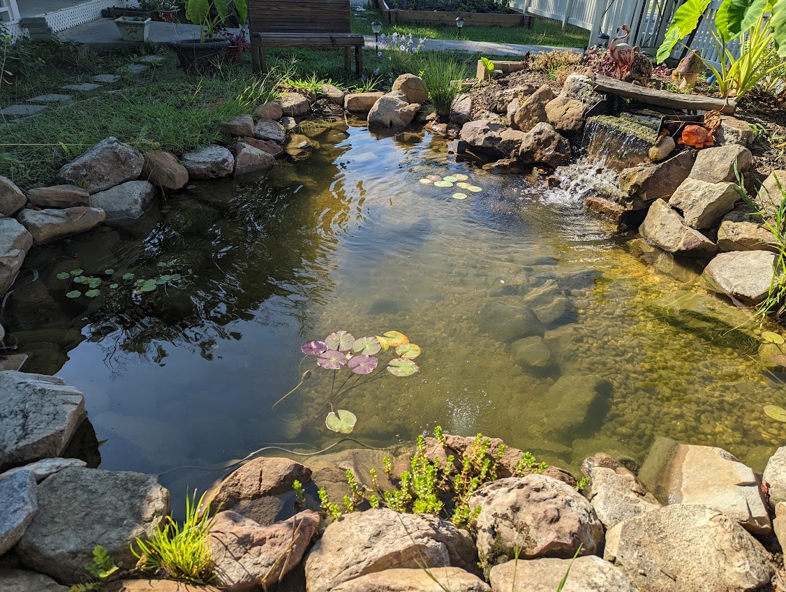 New Pond Photos – Shadowscope