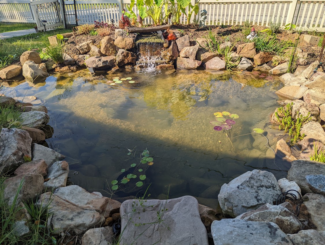 New Pond Photos – Shadowscope